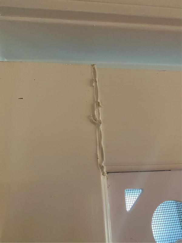 Screen Tight Springview Universal reversible Hinged Screen door 30-in x ...