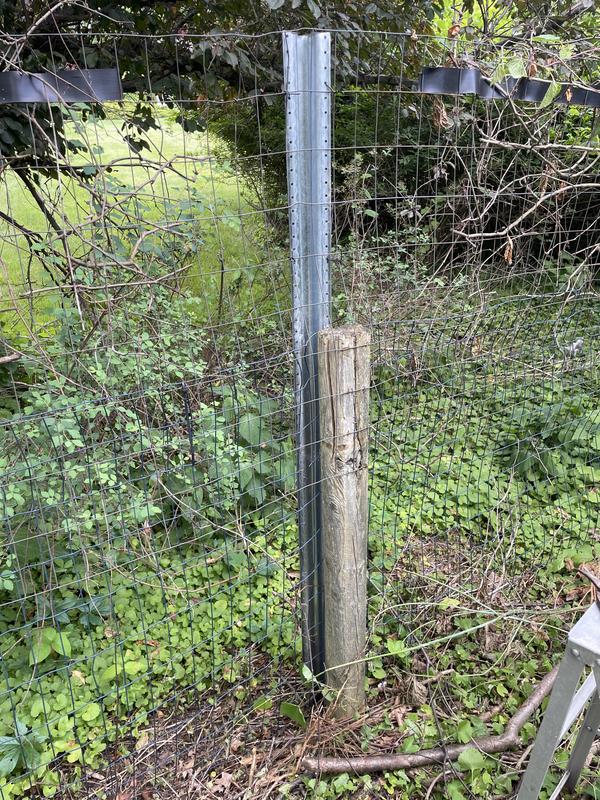 Proforce 7-1/2-ft H x 3-in W Galvanized Galvanized steel Privacy Line ...