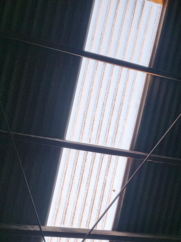 Tuftex SeaCoaster 2.17-ft x 6-ft Corrugated Clear PVC plastic Roof ...