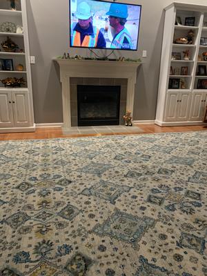 Safavieh Evoke Jaden 10 X 14 (ft) Dark Gray/Yellow Indoor Floral ...