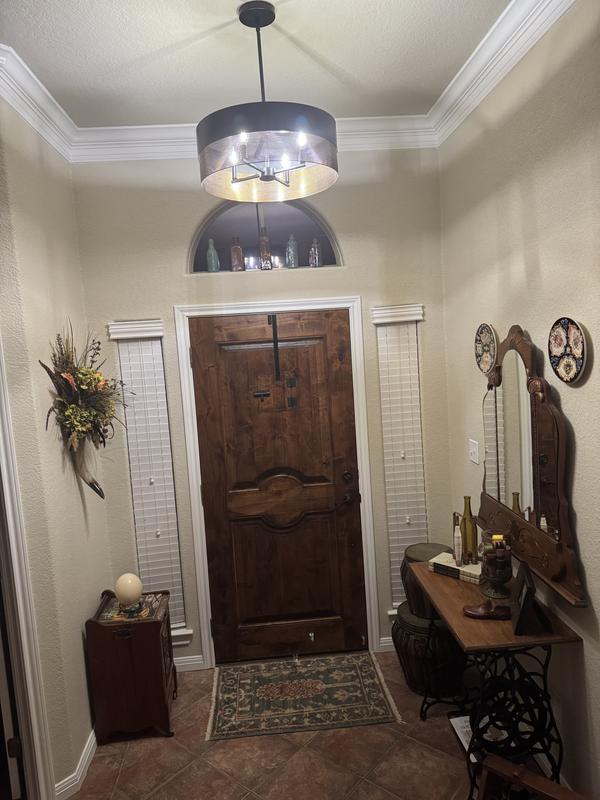 Quoizel Alani 4-Light Matte Black Industrial Drum Led, Medium Hanging ...