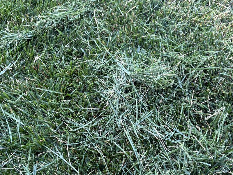 Toro Recycler 60-volt 21-in Cordless Self-propelled Lawn Mower 6 Ah (1 ...