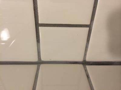 Grout Boost Latex-based Grout Stain Resistance Additive (70-oz ...