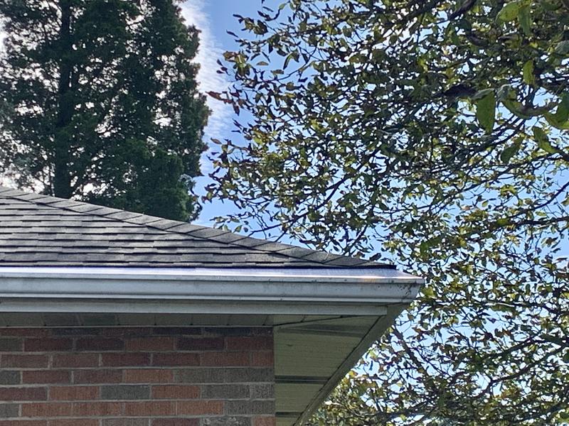 Spectra Armour Mesh White 1-Piece Vinyl K style 6-in x 3-ft Gutter ...