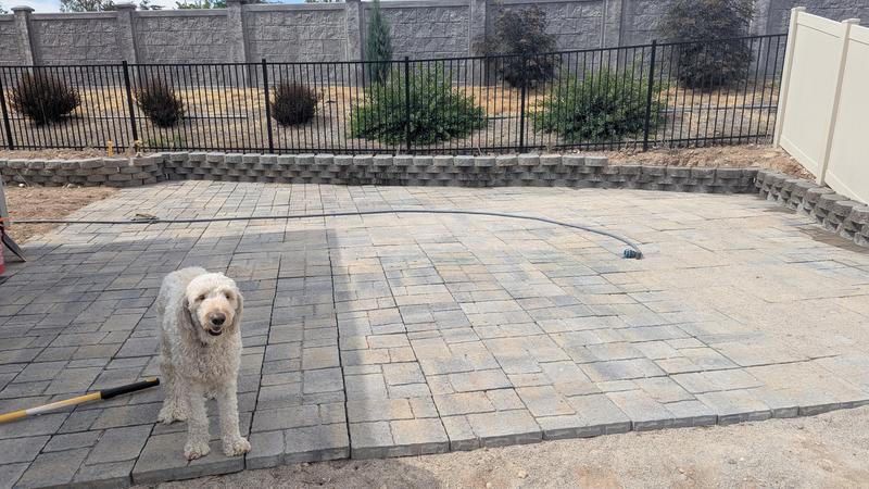 Oldcastle 16-in L x 16-in W x 2-in H Square Charcoal/Tan Concrete Patio ...