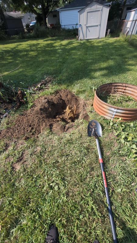 Razor-Back 49-in Fiberglass Handle Digging shovel in the Shovels ...