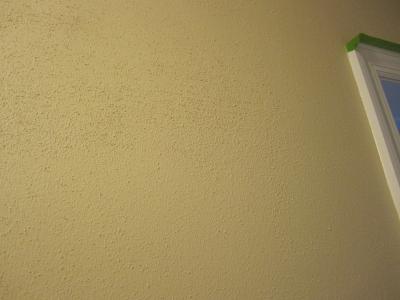 Homax Interior Paint texture additive (Actual Net Contents: 10-fl oz ...