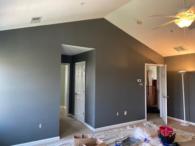 Valspar Ocean Storm 4004-2B Paint sample ( Half-pint ) in the Paint ...
