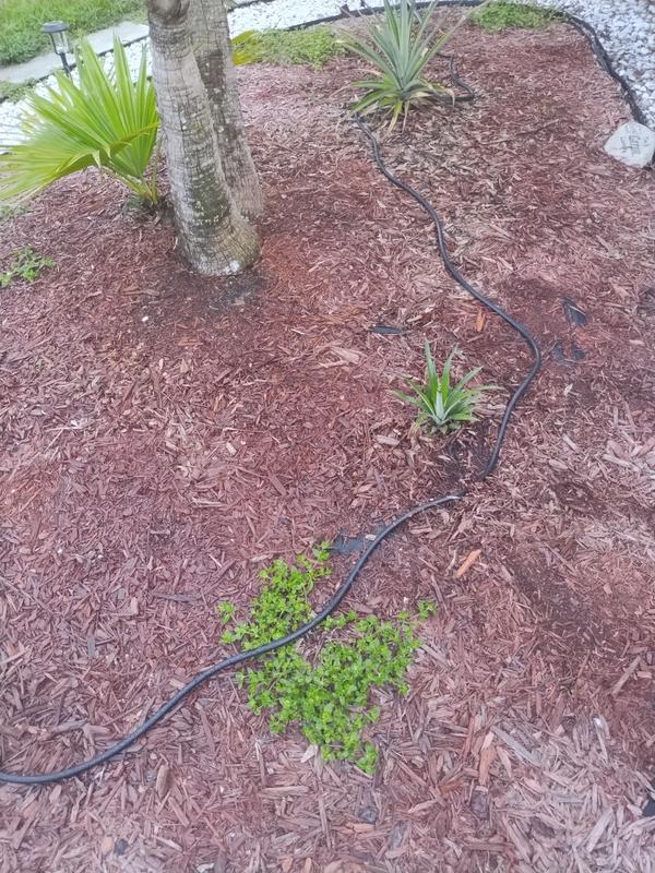 Teknor Apex SOIL SOAKER 3/8-in x 50-ft Vinyl Black Coiled Hose in the ...