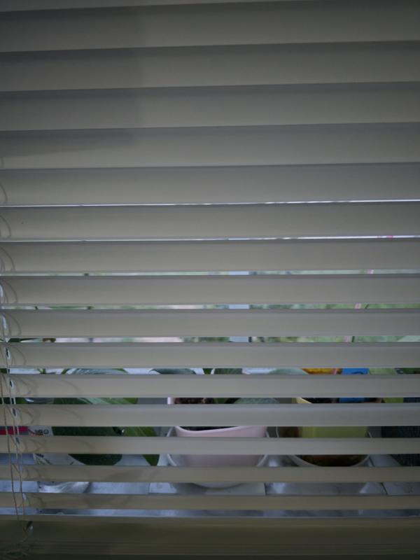 allen + roth Durable Cordless Mini Blind 1-in Slat Width 29-in x 60-in ...