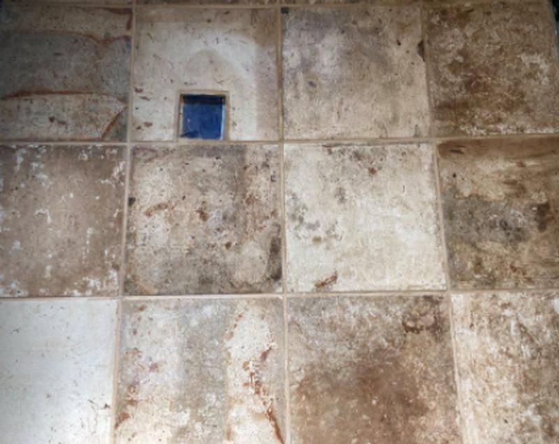 allen + roth Amalfi 12-in x 12-in Glazed Porcelain Stone Look Floor and ...