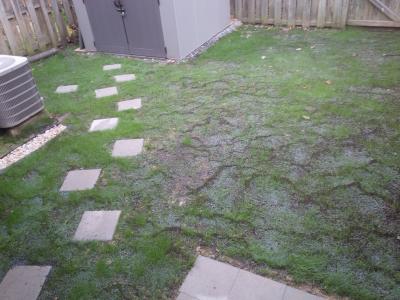 Pennington Slopemaster 30LB Soil tackifier Erosion control in the Soil ...