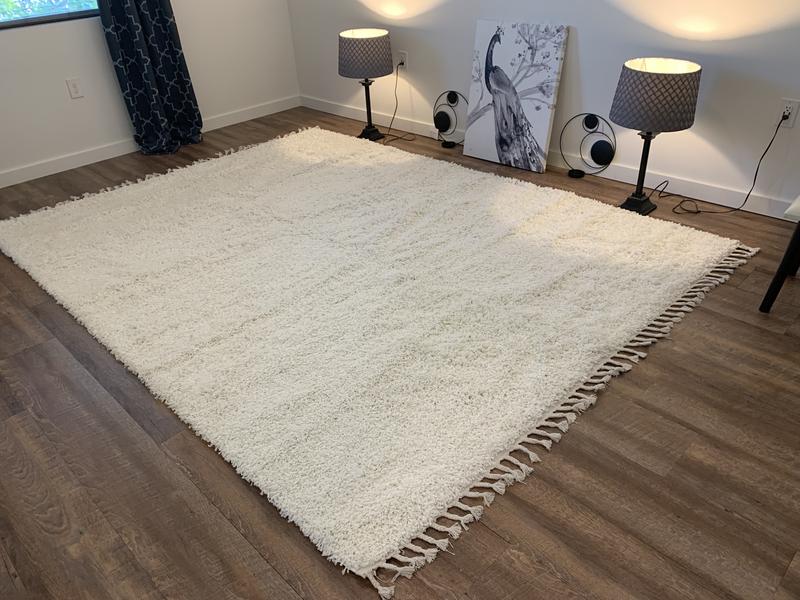 JONATHAN Y MERCER SHAG Plush Tassel 2 x 8 (ft) Loomed Polypropylene ...