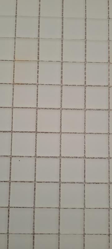 Apollo Tile Colorway Abalone Gray 12-in x 12-in Matte Glass Uniform ...