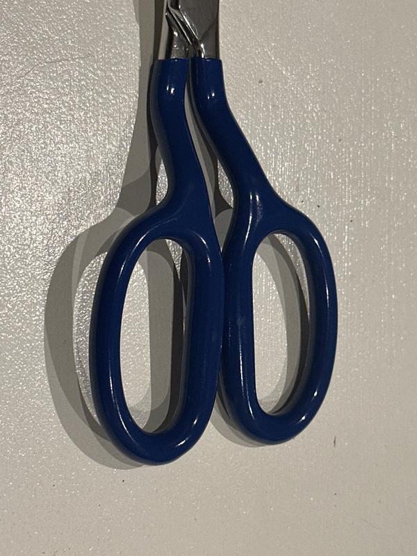 Capitol Carpet Napping Shears 115200 at Lowes.com