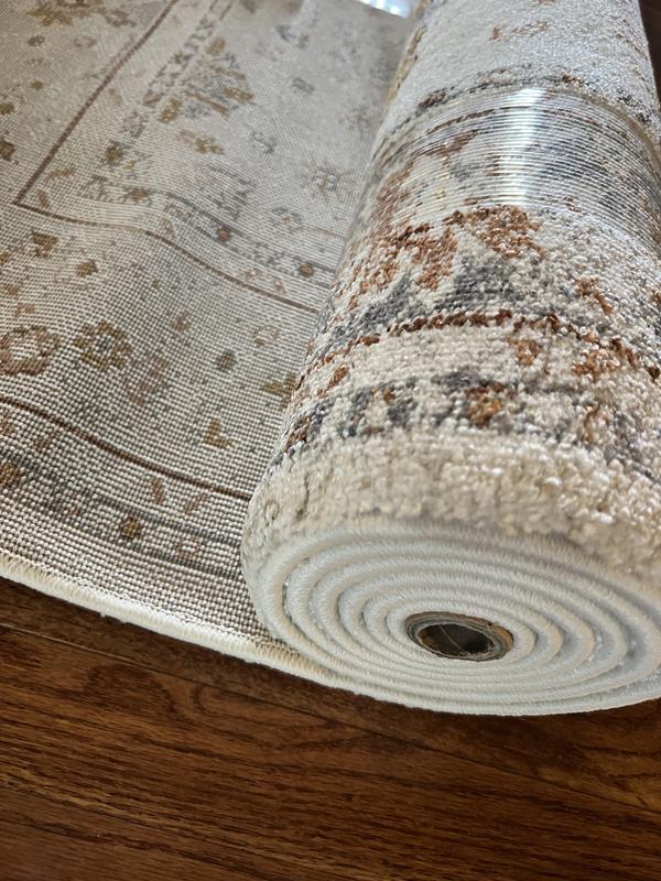 allen + roth with STAINMASTER Camille Border 8 X 10 (ft) Beige Indoor ...