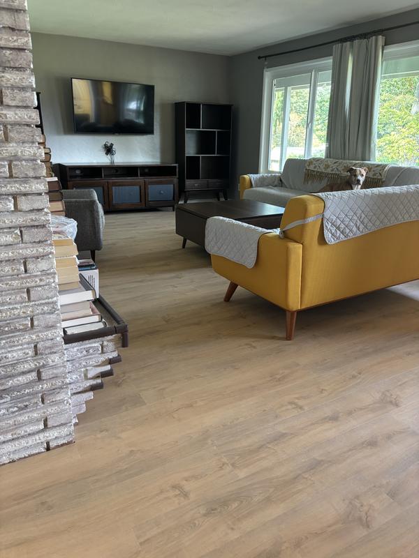Pergo DuraCraft Bruges Oak Brown 22-mil x 7-1/2-in W x 47-in L ...