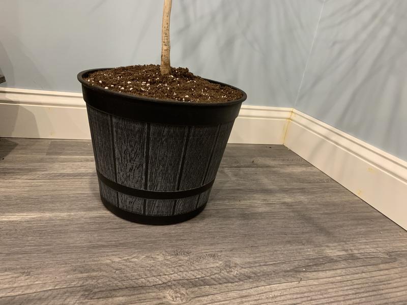 Ready Refill Round 12.2-in W x 12.2-in L Brown Recycled plastic Indoor ...