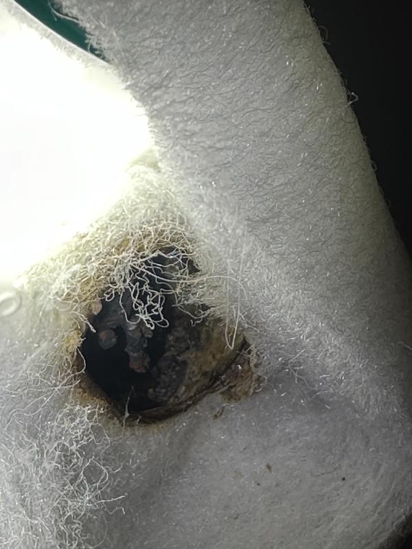 A.O. Smith Signature 100 50-Gallons Short 6-year Warranty 4500-watt ...