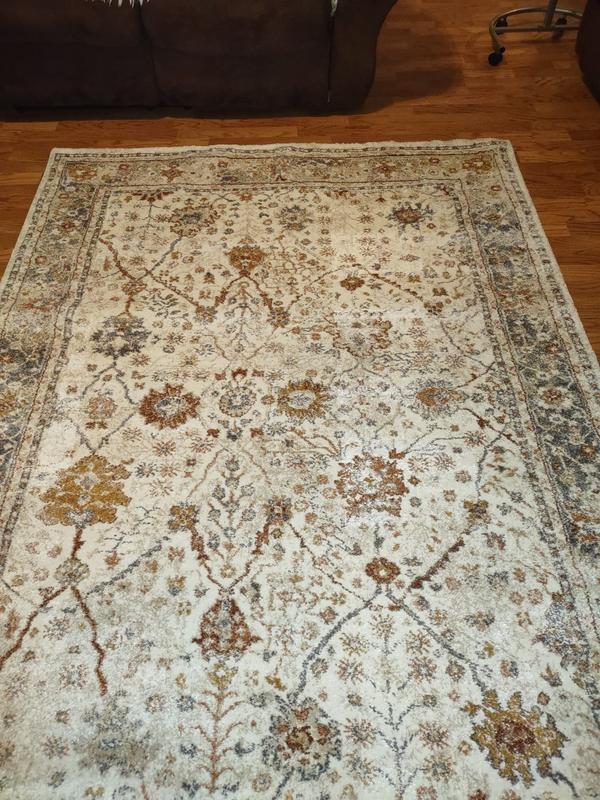 allen + roth with STAINMASTER Camille Border 8 X 10 (ft) Beige Indoor ...