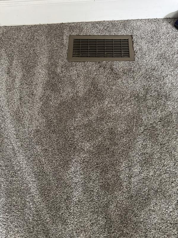 STAINMASTER Springhaven Outerbanks Brown 60-oz sq yard Polyester ...