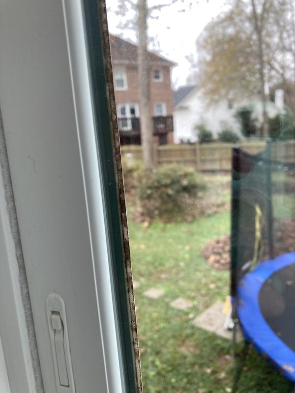 RELIABILT 3900 Series 31-3/4-in x 53-1/2-in Tan White Vinyl Replacement ...