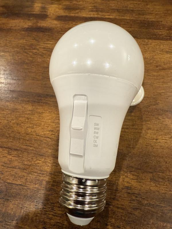 Cree Lighting 60 -Watt EQ A19 Bright white Screw bases Dimmable LED ...