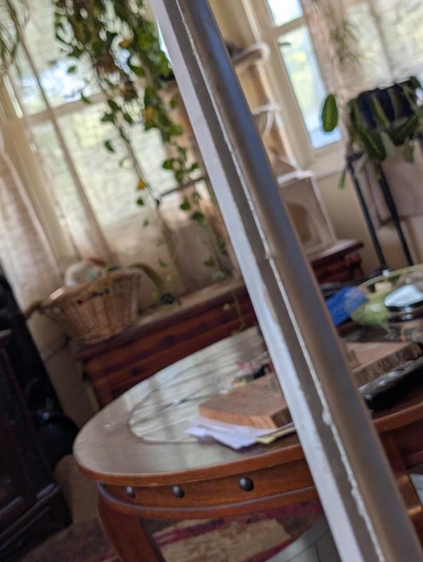 Canopia by Palram Side Louver Window Polycarbonate Greenhouse side ...