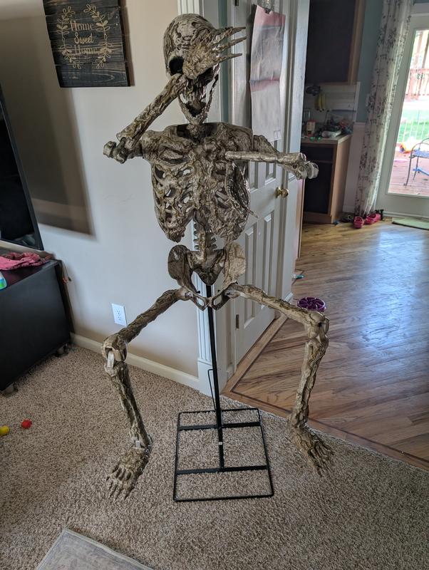 Haunted Living 5.6-ft Decayed Skeleton Statue in the Halloween Decor ...