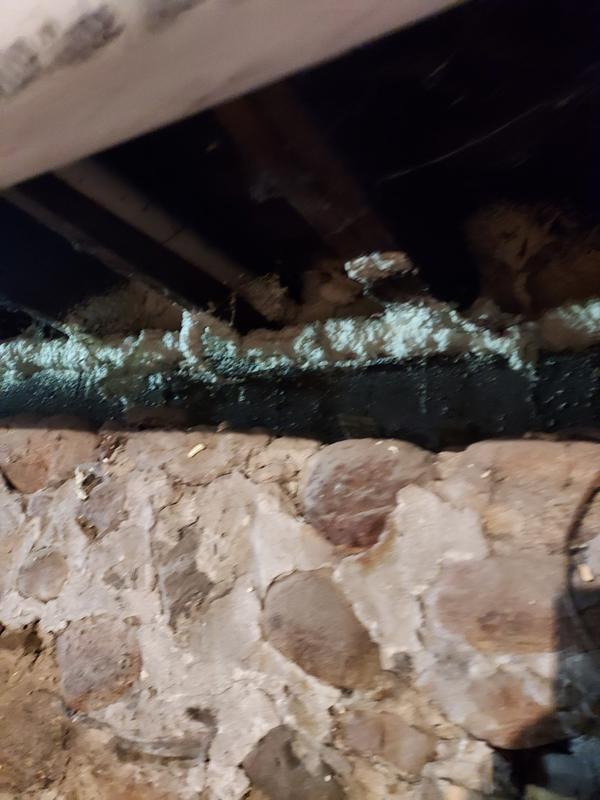 ENERFOAM 25 Professional Foam Sealant and Adhesive 24-oz Spray gun ...