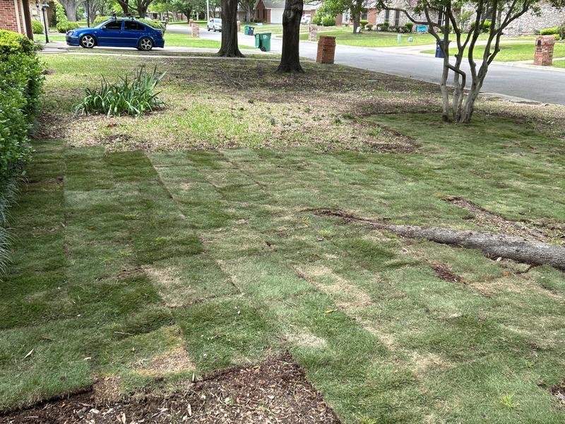 Harmony Outdoor Brands 500-sq ft Natural Zoysia Sod Pallet ZOYS500DCOM ...