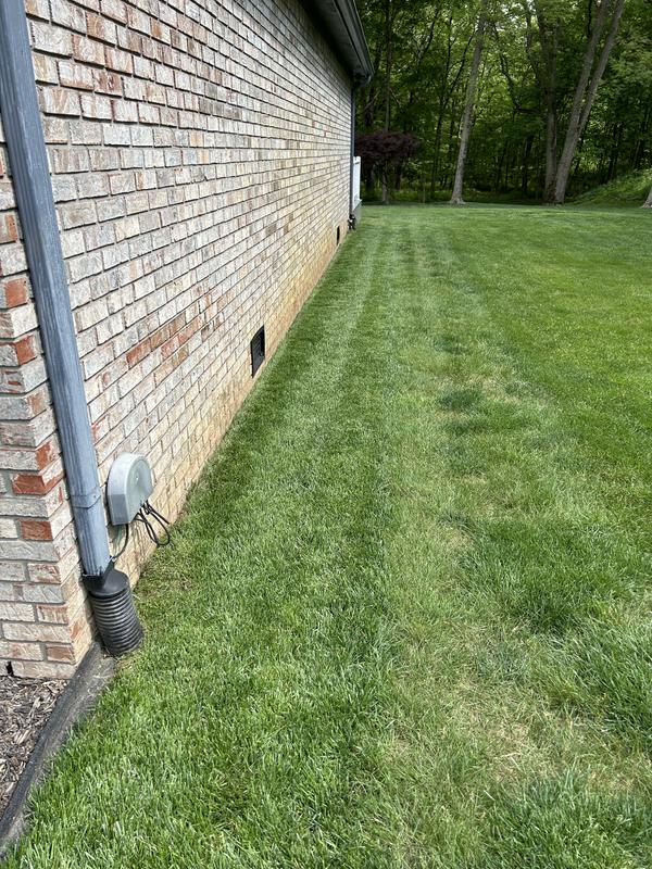 Harmony Outdoor Brands 500-sq ft Natural Bluegrass Sod Pallet ...