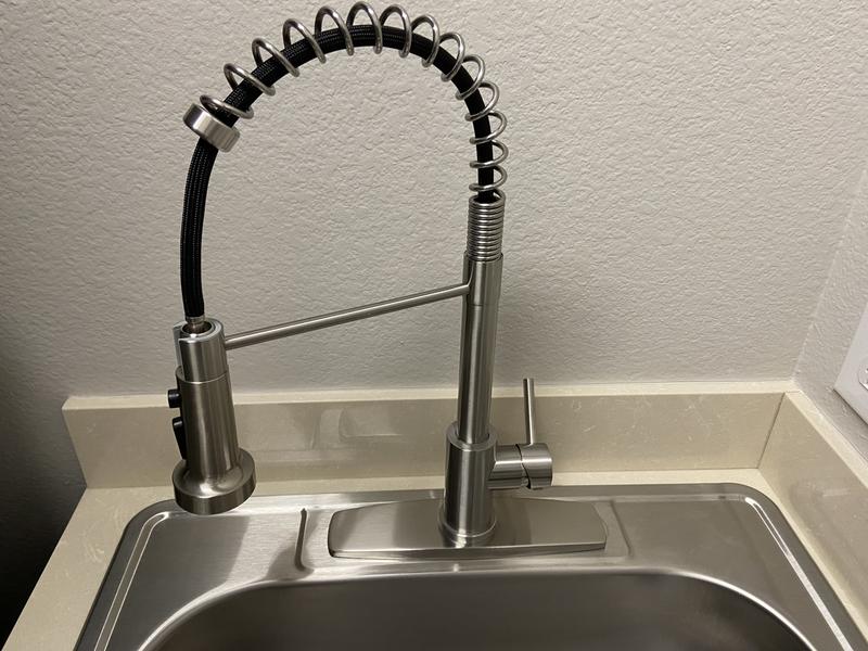 androme Gold Single Handle Kitchen Faucet with Sprayer (Deck Plate ...