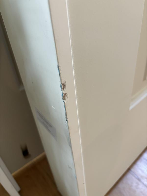 RELIABILT 30-in x 80-in Primed Hollow Core 2-panel Right Hand Molded ...