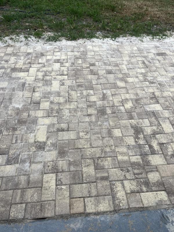 Pavestone 8-in L x 4-in W x 2-in H Rectangle Cappuccino/Smooth Concrete ...