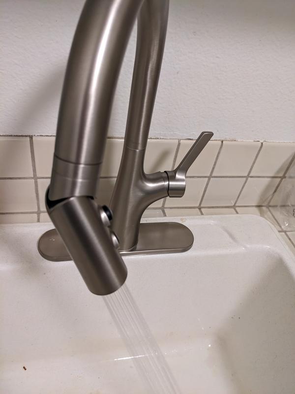 Pfister Ceylon Spot Defense Stainless Steel Single Handle Pull-down ...