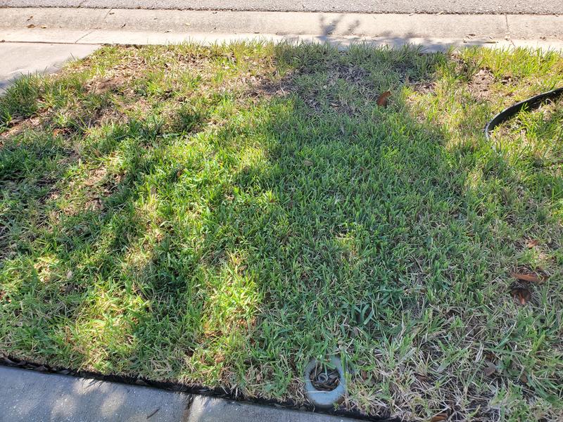 Sta-Green Performance Max 43.2-lb 14400-sq ft 30-0-3 All-purpose ...