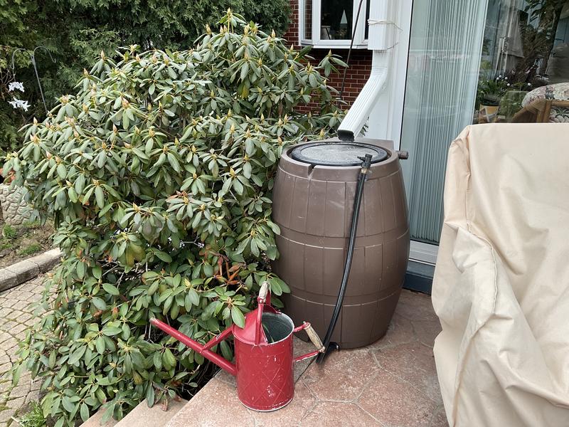 FCMP Outdoor 50-Gallon Black Recycled plastic Rain Barrel with Diverter ...