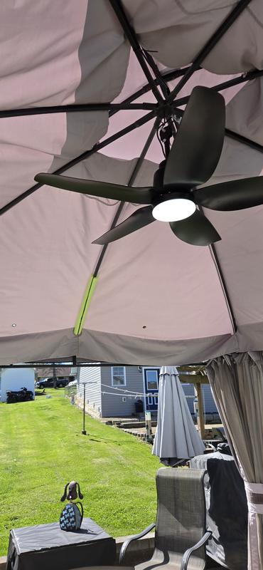 Breezary Breezary 20-in Black Low Profile Caged Ceiling Fan with LED ...
