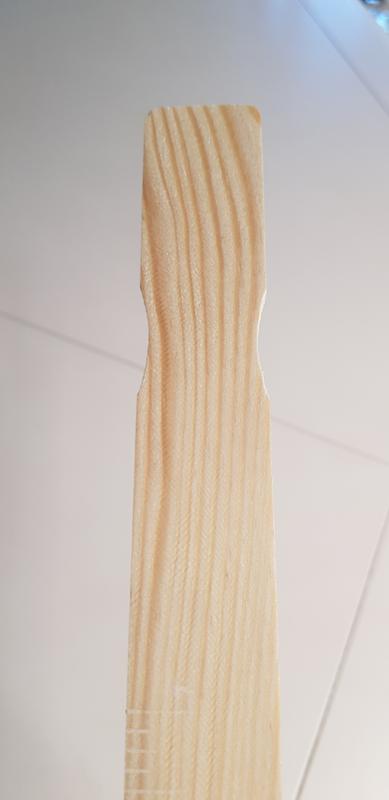 Project Source 1 Gal Paint Stick 10 Pack LWSPROS-10 at Lowes.com