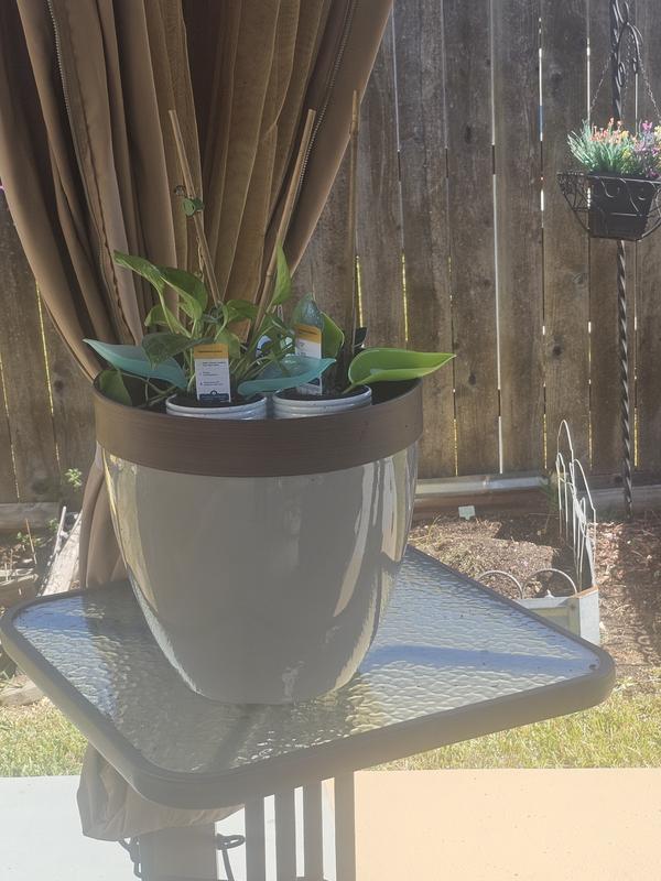 Southern Patio Round 15-in W Large Red Resin Outdoor Planter HDR ...