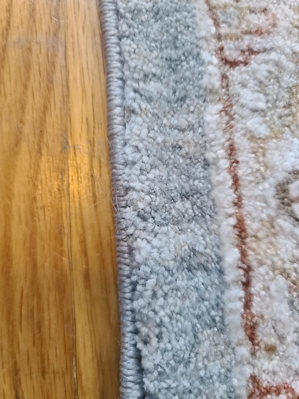 allen + roth Miriam 9 X 12 (ft) Light Blue Indoor Floral/Botanical Area ...