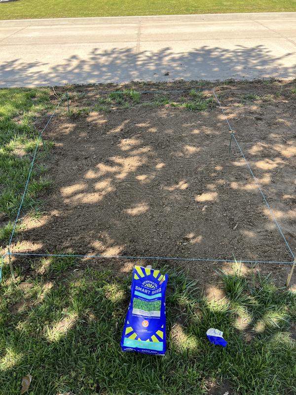 Pennington 7-lb Grass Seed 2149602805 at Lowes.com