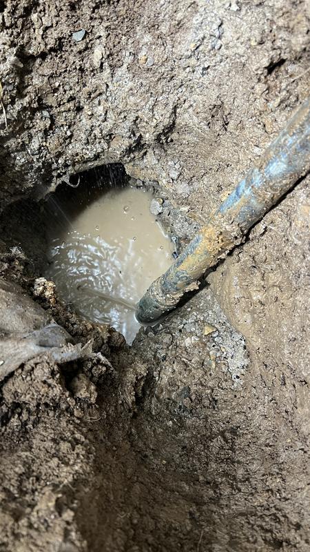 ProPlumber 2-ft Bury Depth Frost Resistant 3/4-in Female Blue Brass ...