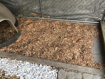 Are Cedar Chips Good For Dog Houses