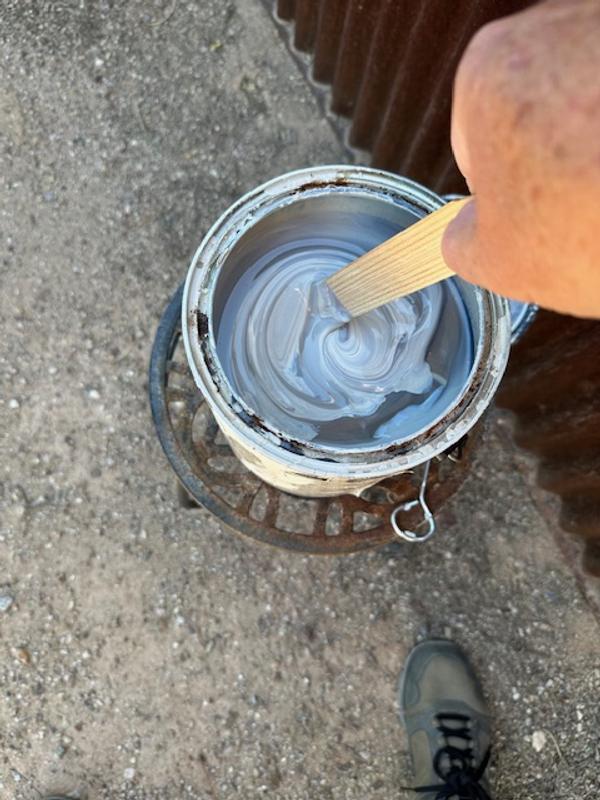 Project Source 1 Gal Paint Stick 10 Pack LWSPROS-10 at Lowes.com