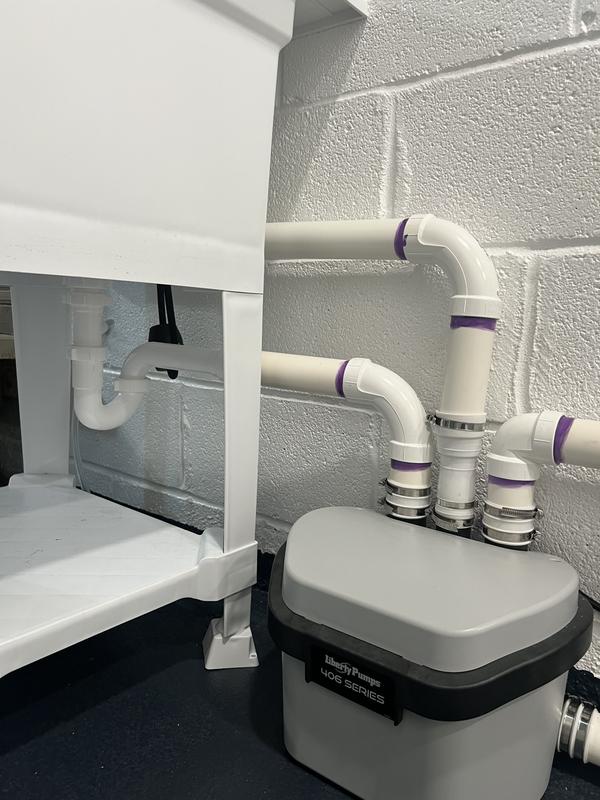 Liberty Pumps 1/6-HP 115 -Volt 21-Gallon Plastic Transfer pump in the ...