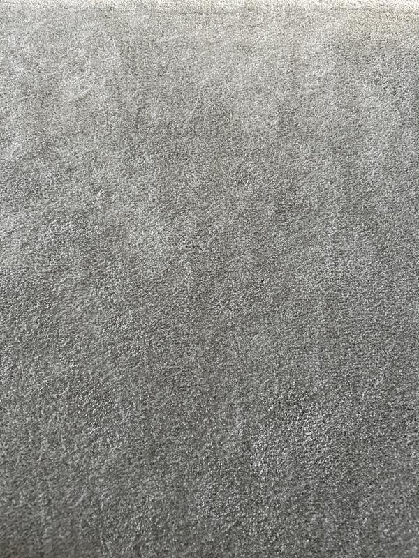 STAINMASTER PetProtect Wagging Rights II Pembroke Gray 55-oz sq yard ...