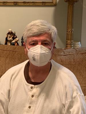 Dasheng White Disposable N95 Safety mask 5 -Pack in the Respirators ...