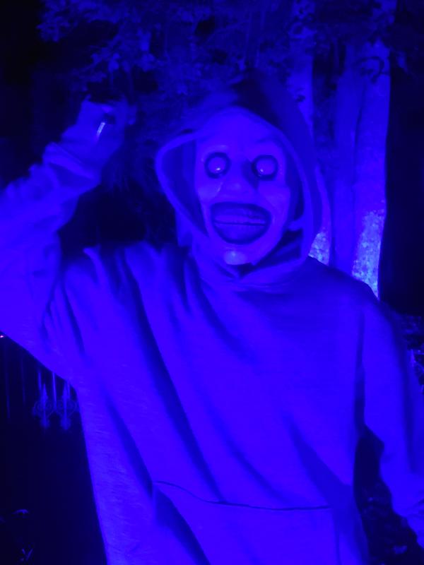 Gemmy Lightshow Constant Icy Blue Electrical outlet Solid Christmas ...